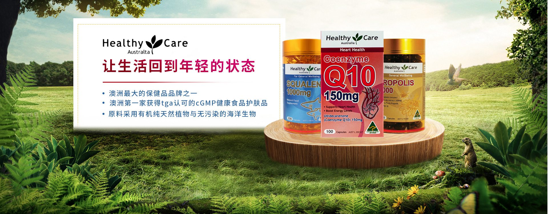 澳洲Healthy_Care(Healthy_Care)专卖-提供澳洲Healthy_Care(Healthy_Care)_澳洲Healthy ...